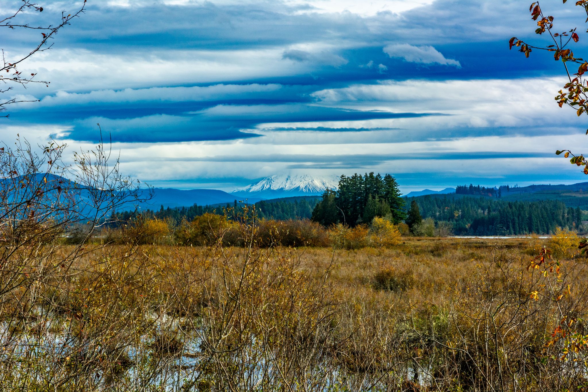 Cowlitz County, Washington - bryanspellman